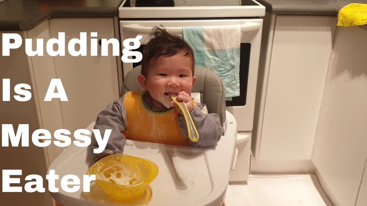 Pudding Is A Messy Eater - YouTube