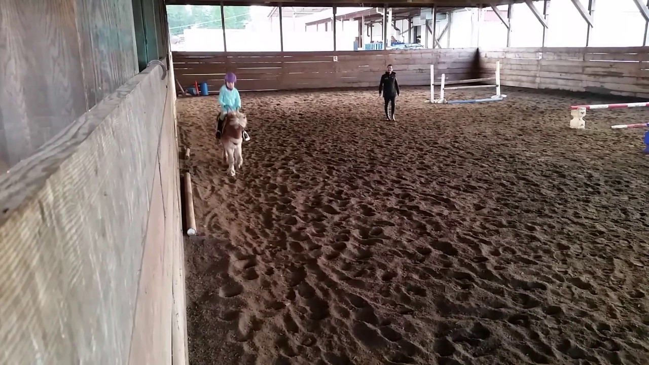 First canter after fall - YouTube