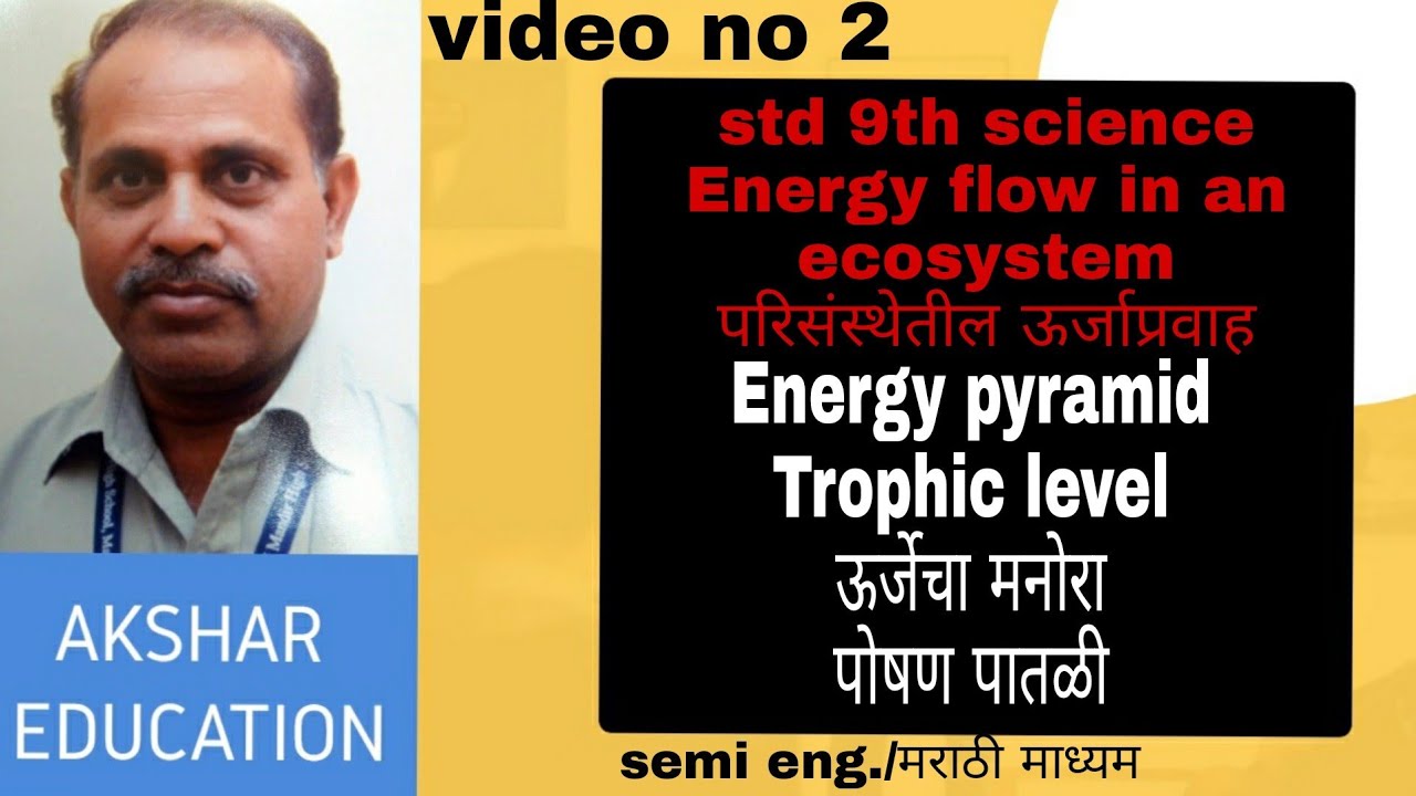 std 9th-science-Energy pyramid, Trophic level-Energy flow in an ...