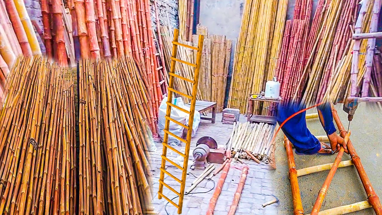 How Bamboo Ladder Making Amazing Process - YouTube