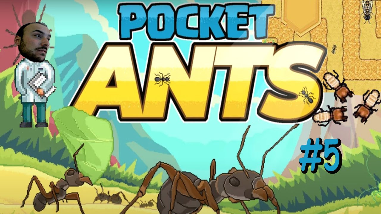 ARI LABİRENTİ VE REÇİNE TOPLAMA STİLİ - POCKET ANTS # 5 - YouTube