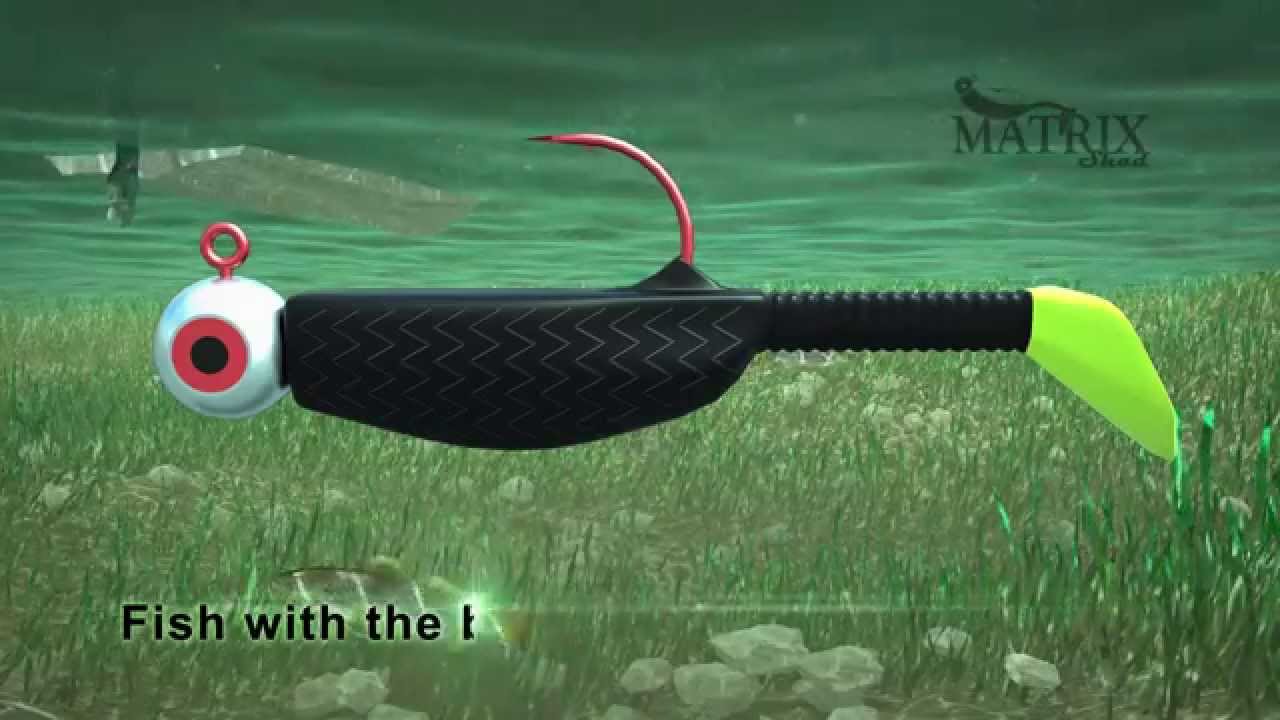 Matrix Shad "Welcome to the Revolution" - YouTube