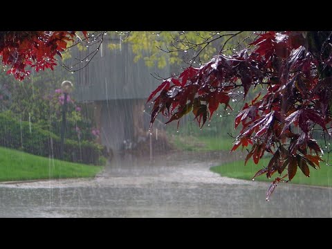 Rain Romantic Whatsapp Status Video|Relaxing Rain Sound Status 30 Sec|Rainy Day Status Whatsapp song