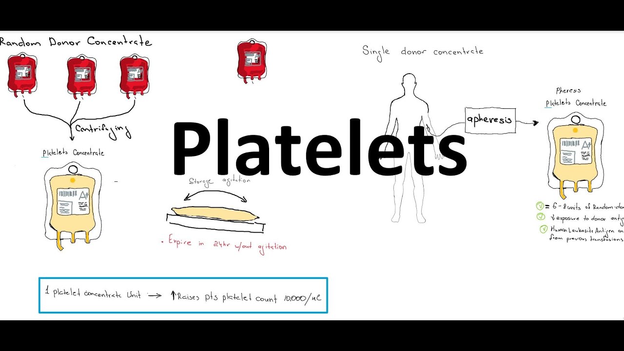 Platelets Administration in Transfusion Therapy part of IV therapy ...