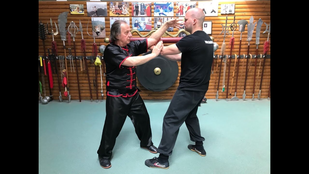 Lesson section 1 Ng Mui as selfdefense by Grandmaster Walter Toch ...