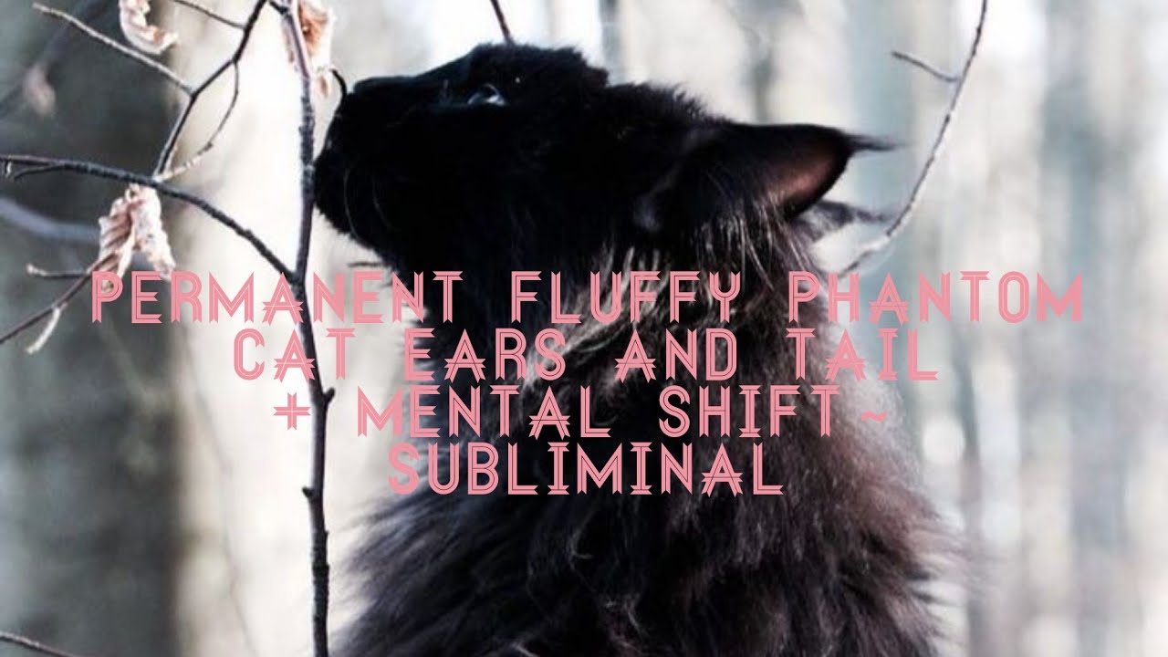 ⊱🎟 𝐏𝐡𝐚𝐧𝐭𝐨𝐦 𝐅𝐥𝐮𝐟𝐟 Permanent Fluffy Phantom Cat Ears and Tail + Mental ...
