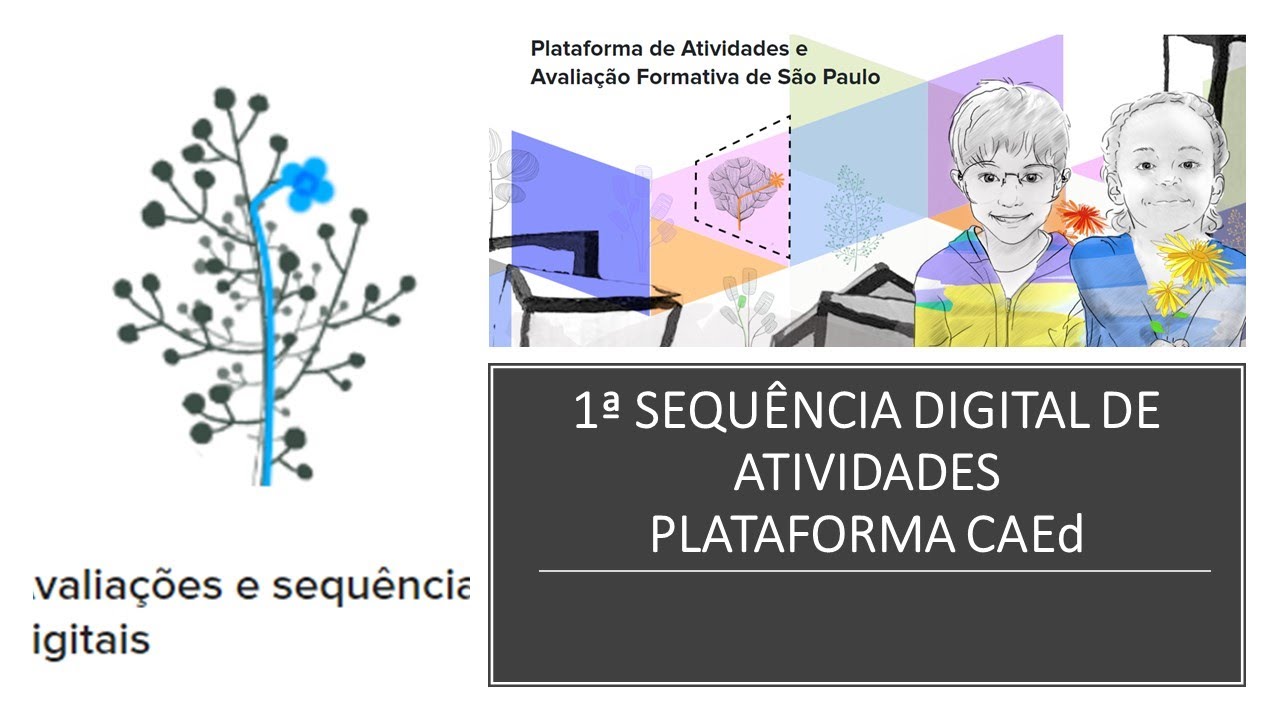 Como realizar a 1ª Sequência Digital de Atividades na Plataforma CAEd ...
