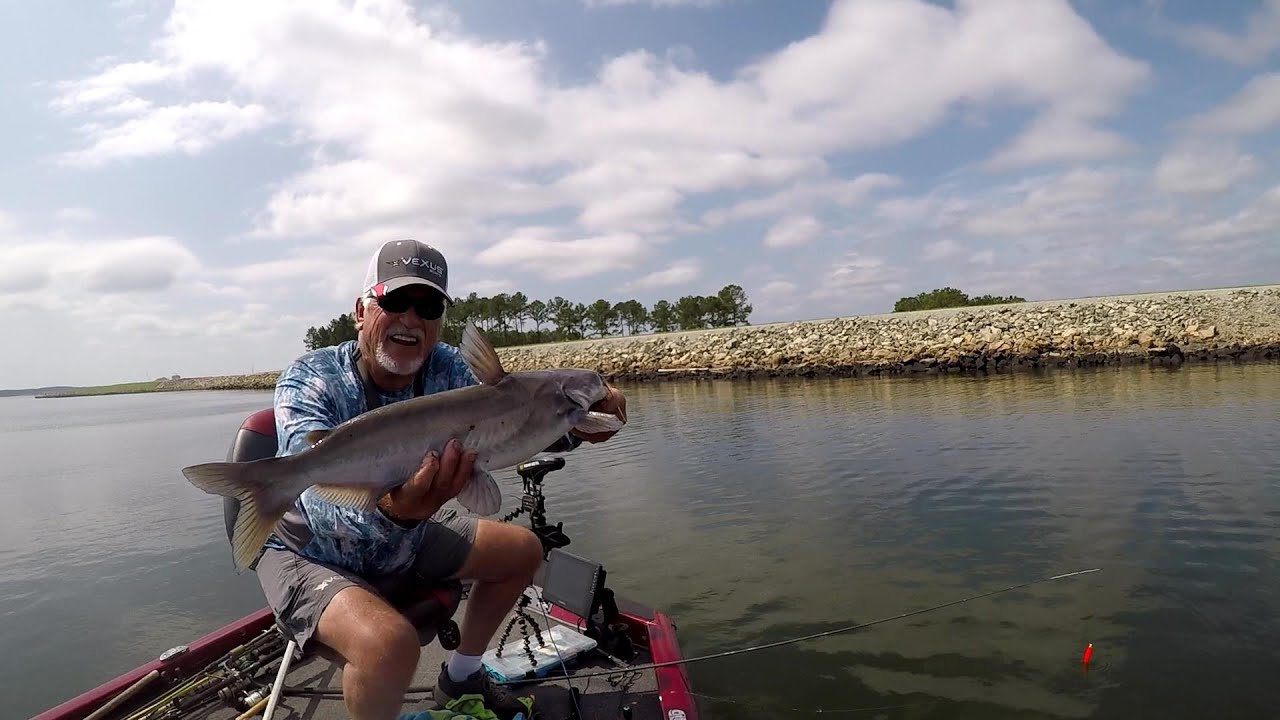 Catfish Motherload Using Wigglers Under A Cork, Part 1. - YouTube