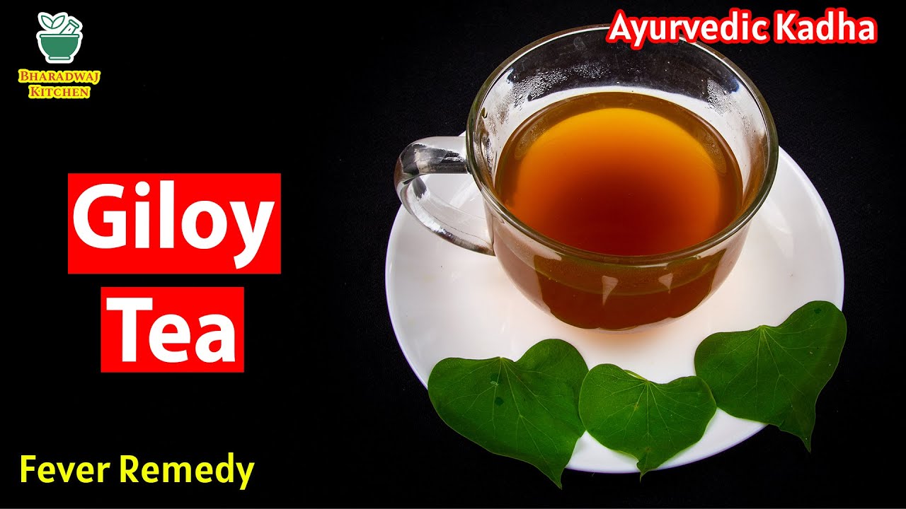 Giloy Tea | Natural Remedy for Fever and Cold | Amruthaballi Kashaya ...