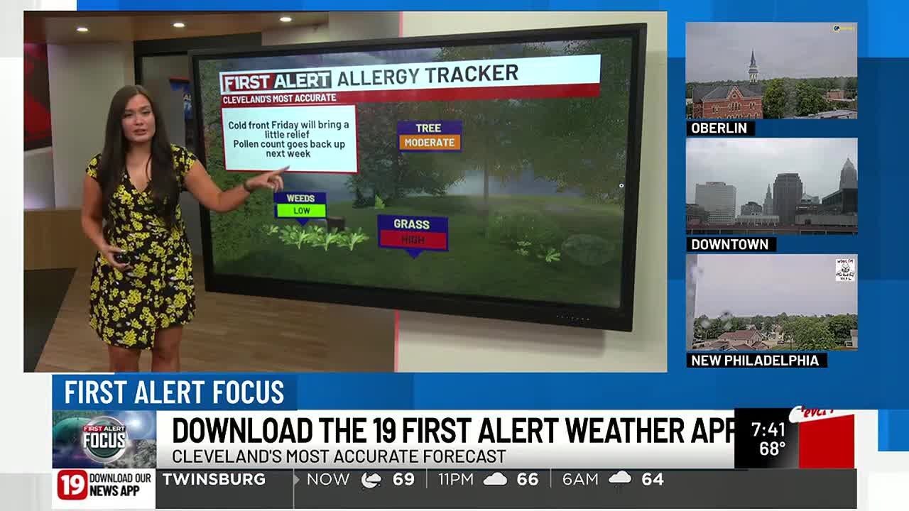 First Alert Focus: Allergy season - YouTube