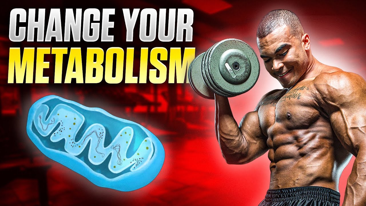 The One Exercise That Will Make You Live Longer - YouTube