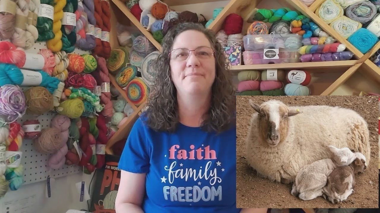 My First Fiber Fest of 2024 ~ Sheep and Fiber Fest - YouTube