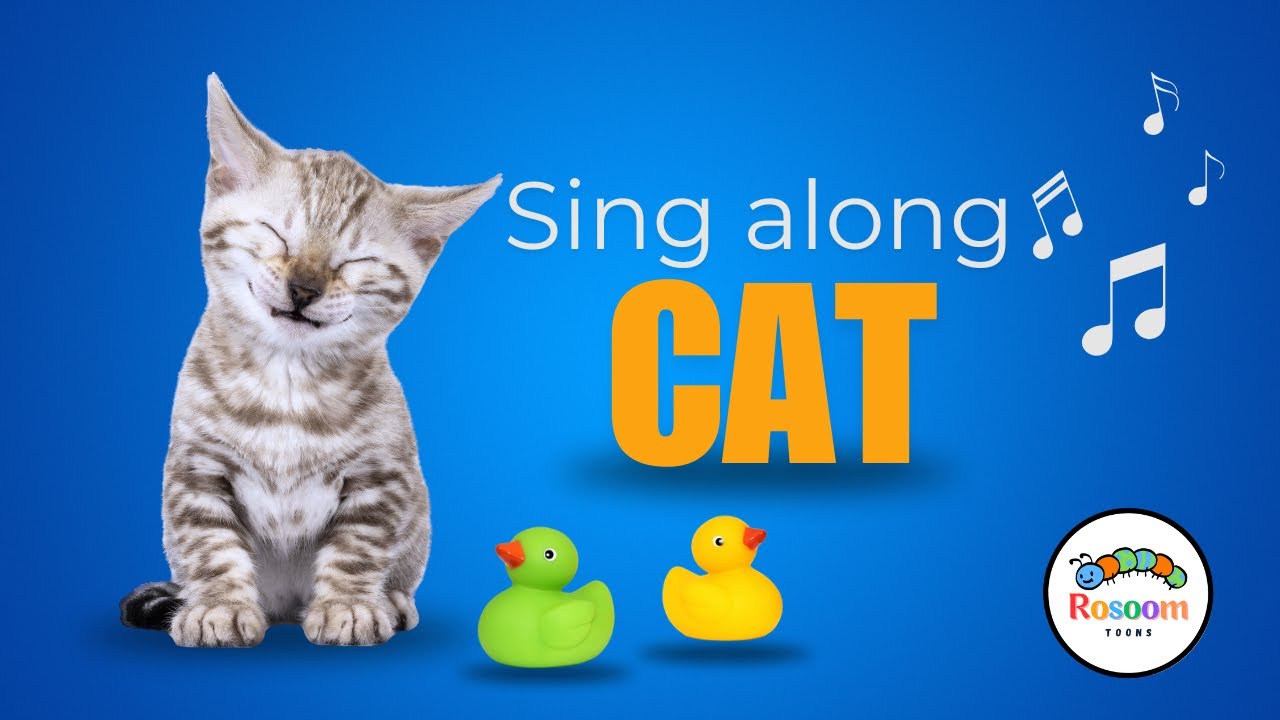 Fun Cat Song for Toddlers! Sing Along & Learn! - YouTube