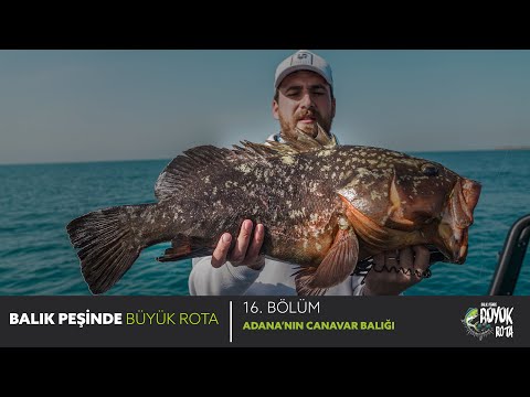 Balık Peşinde Büyük Rota - 16. Bölüm ADANA'NIN CANAVAR BALIĞI