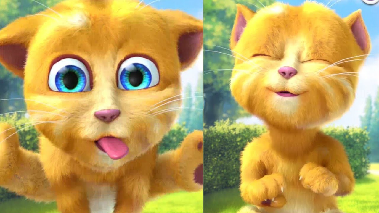 Talking ginger videos🍓🍒🍒🍓talking ginger happy birthday🍓talking ginger ...