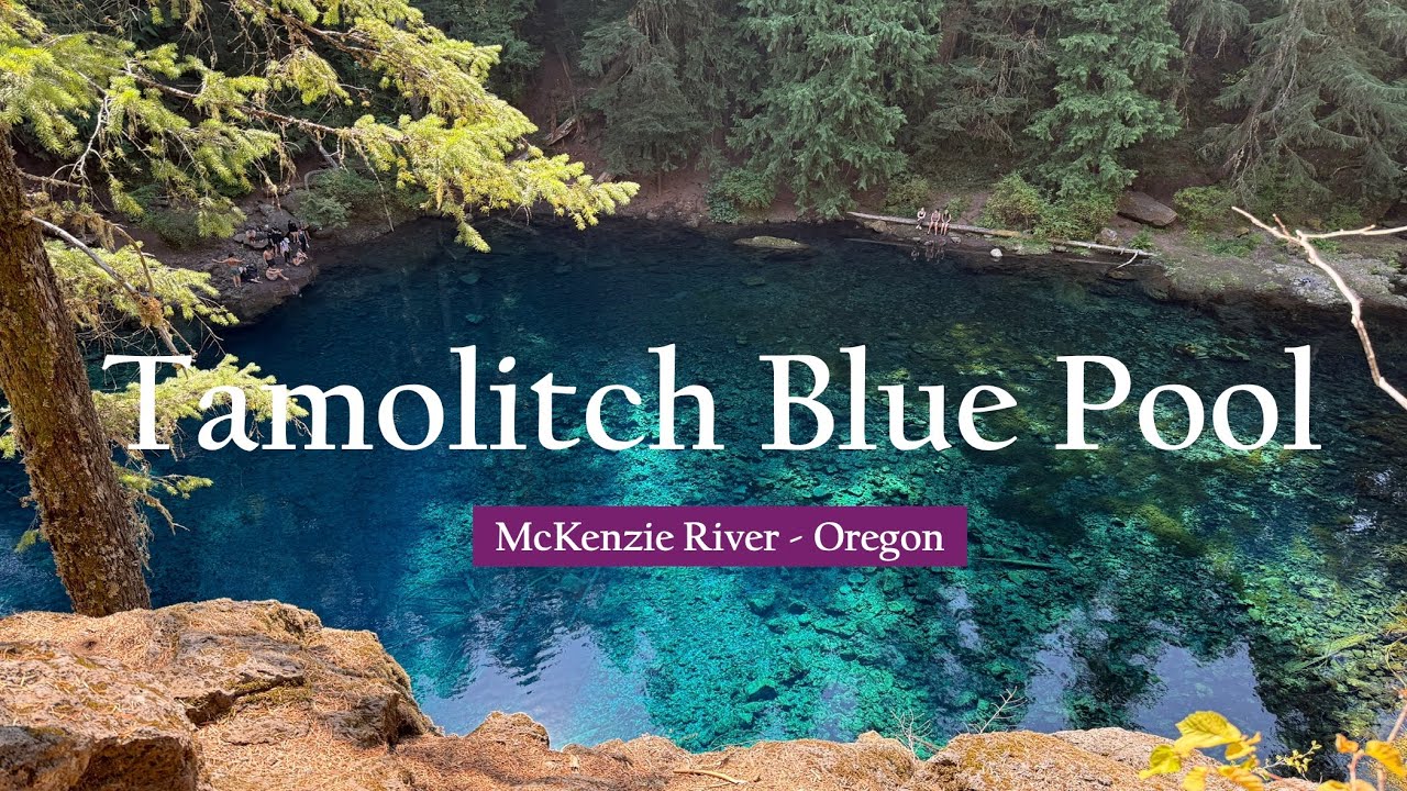 Tamolitch Blue Pool Oregon | Crystal Clear Turquoise Water Wonderland ...