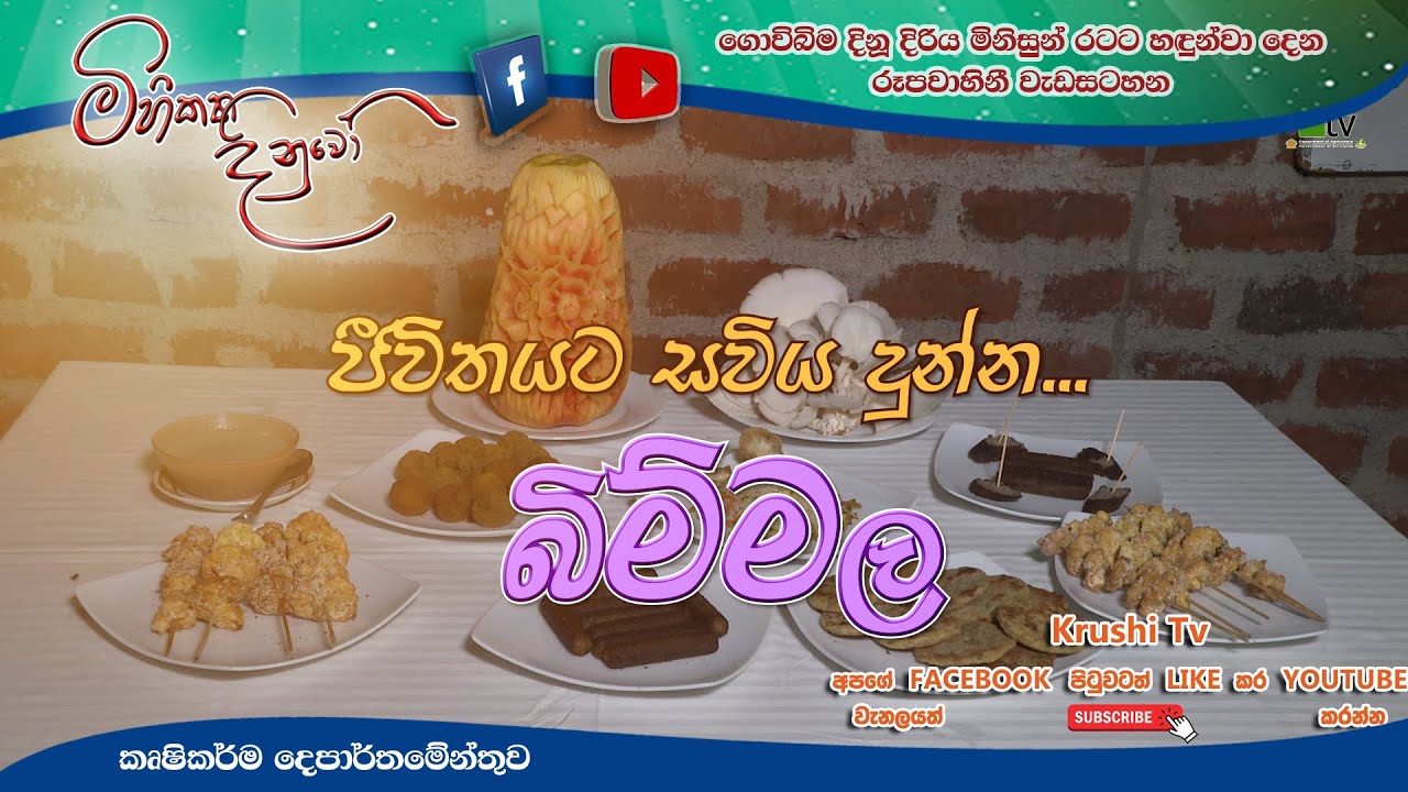 Mihikatha Dinuwo TV Program | ජිවිතයට සවිය දුන්න.. බිම්මල | 2023-11-17 ...