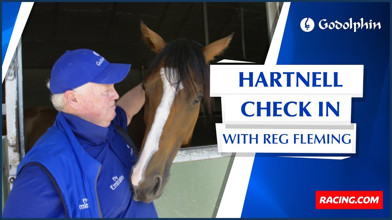 🇦🇺 Racing.com check in with Hartnell and his custodian Reg Fleming ...