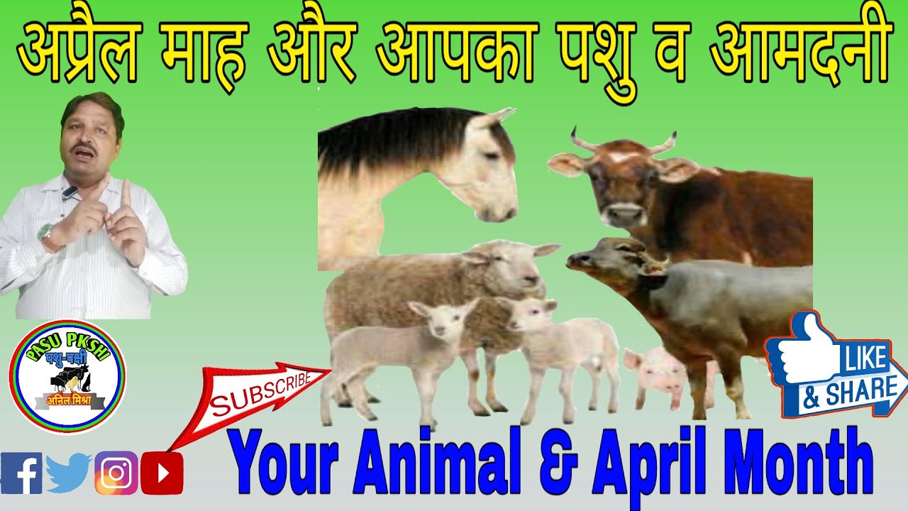 pashu palan calendar | your #animal & april month | पशु पालन कलेंडर ...