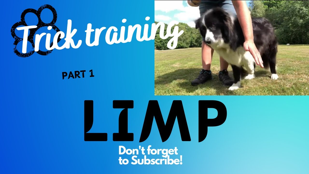 Limp - Dog Trick Training! (Part 1) - YouTube