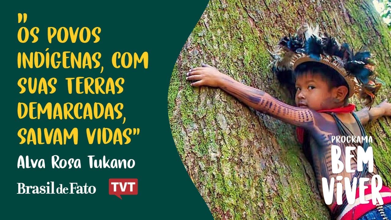Povos Indígenas Salvam Vidas Com Suas Terras Demarcadas” Bem Viver