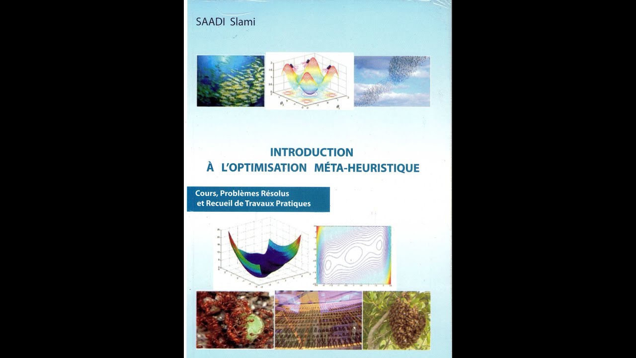 Introduction à l'Optimisation Méta-heuristique - YouTube