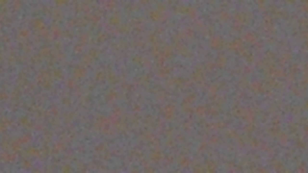 There is a slug on the ceiling... OMFG!! - YouTube