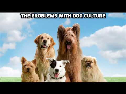 The Problems With Dog Culture