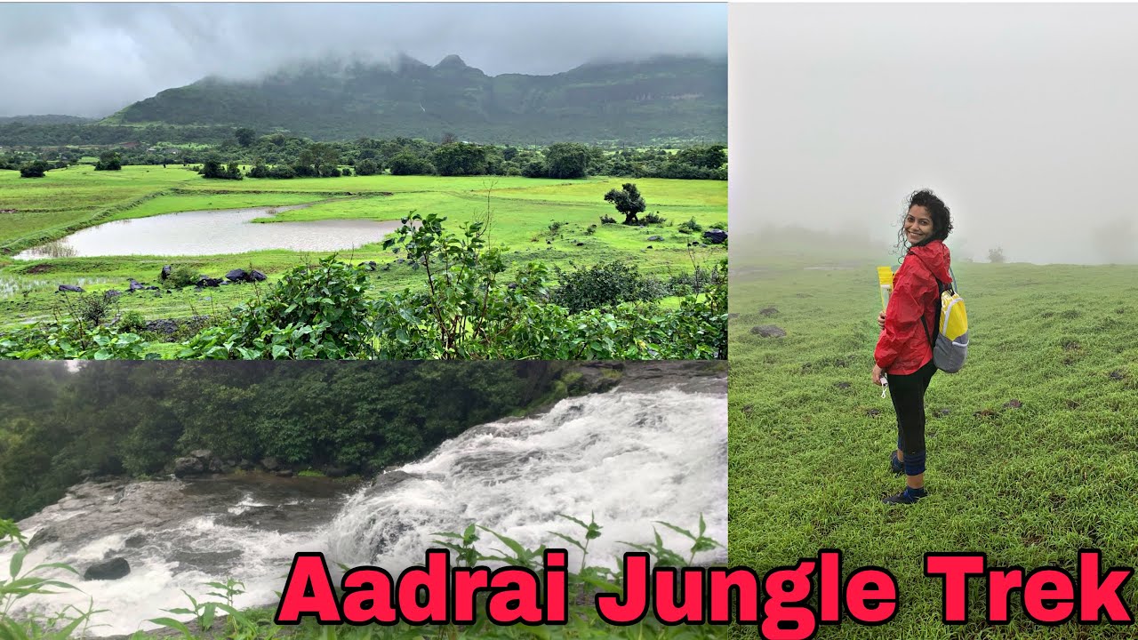 Aadrai Jungle Trek | Dark Rain Forest | Kalu Waterfall | #Sahyadri ...