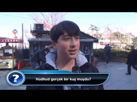 Hüdhüd gerçek bir kuş muydu?