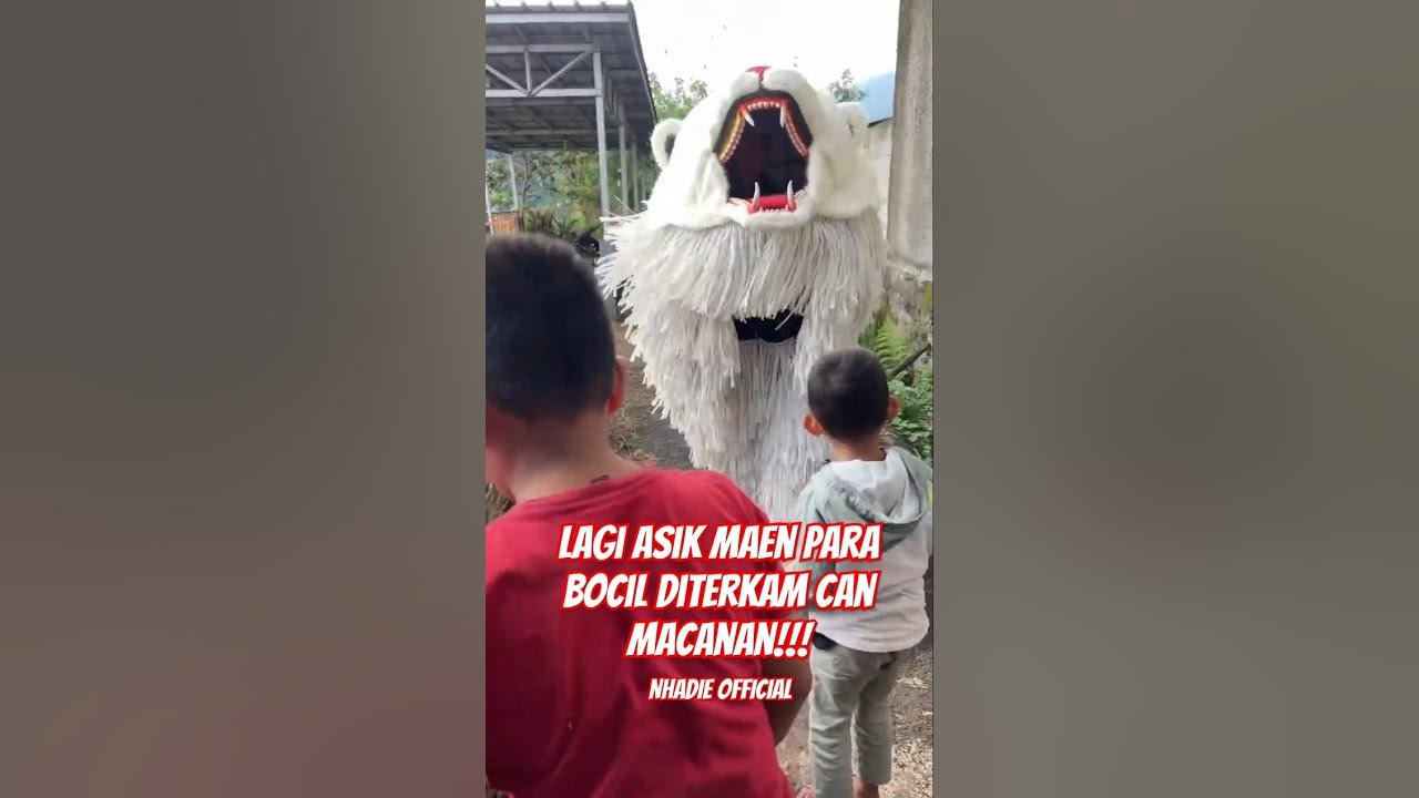 Lagi Pada Asik Main Para Bocil Di Gigit Can Macanan!!! - YouTube