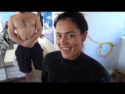 Pashence goes cage diving with Sharks