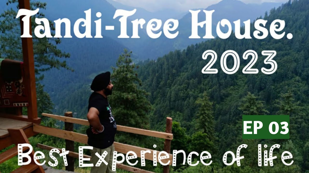🌲TREE HOUSE 🌲 TÀNDI 🌲 JIBHI 🌲 BEST EXPERIENCE OF LIFE 🌲HIMACHAL - YouTube