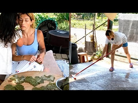 HEM TEMİZLİK HEM DE TOPLADIĞIM ASMA YAPRAKLARINI SARDIM *KIYMALI*‼️