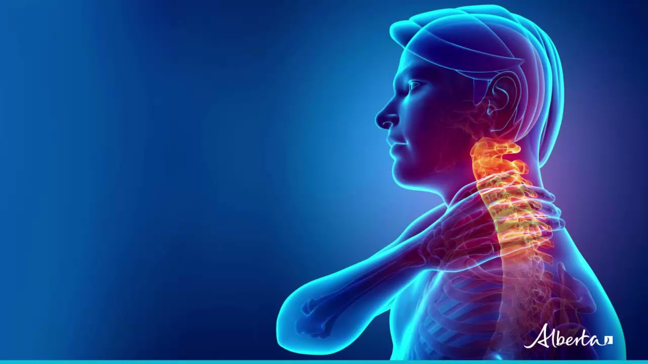 Musculoskeletal disorders – An introduction - YouTube