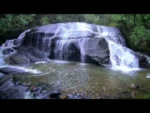 ♫ The Best Of Gheorghe Zamfir ♫ Gheorghe Zamfir Greatest Hits ♫
