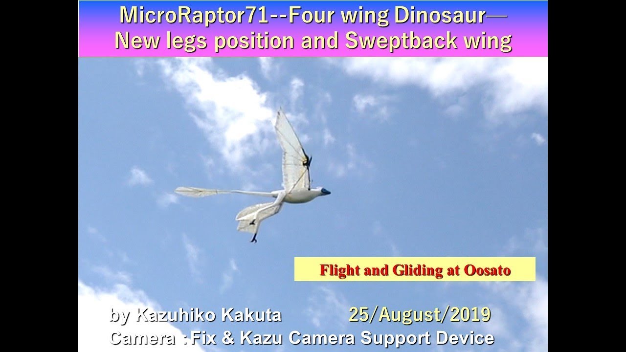 MicroRaptor71--Four wing Dinosaur-: Flight and Gliding at Oosato - YouTube
