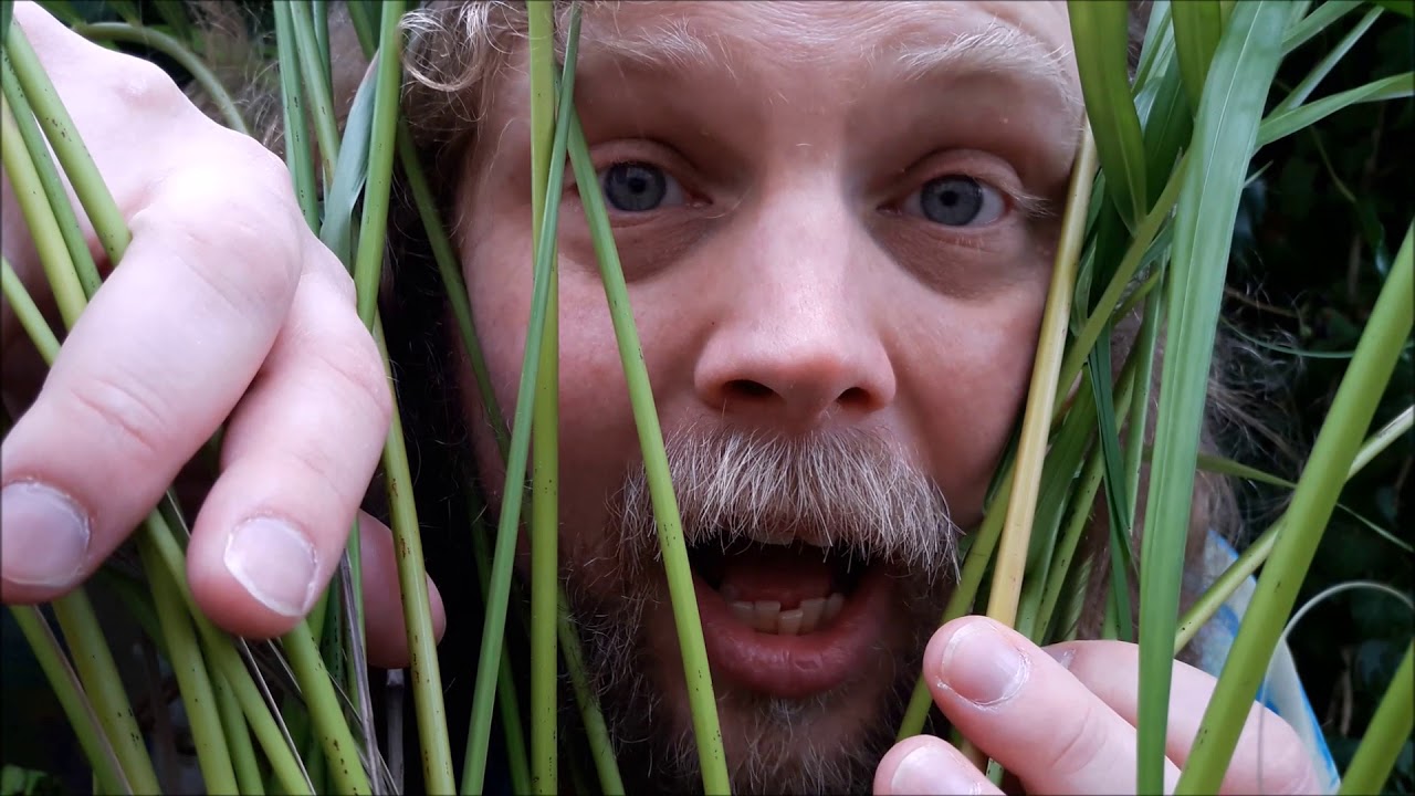 MYTH TELLER 1: The Terrible Secret of King March - YouTube