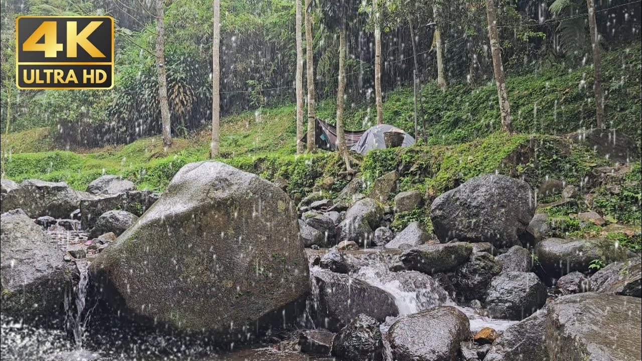 Waterfall Gentle Stream Sound in forest, Waterfall Sounds, Flowing ...