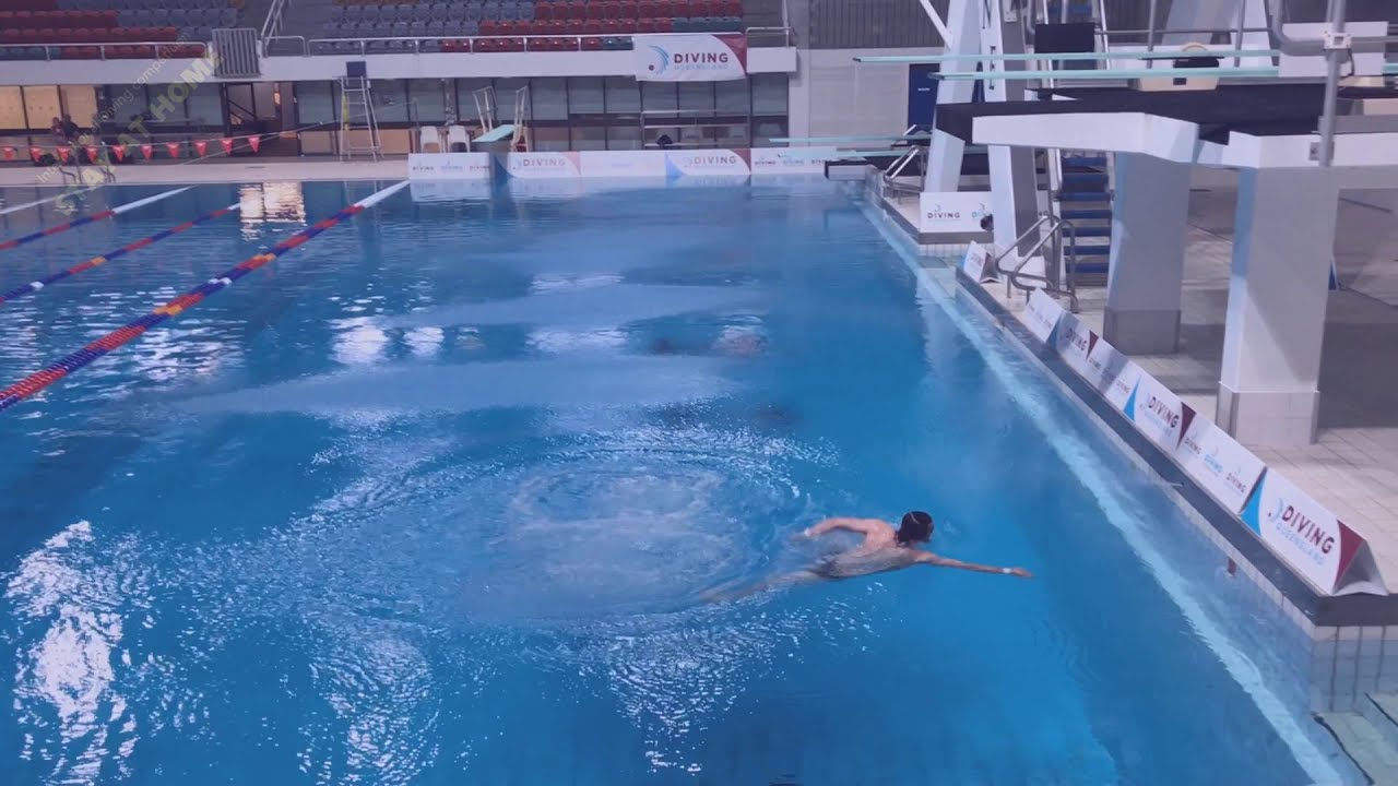 Divers Compete in Virtual International Meet - University of Louisville ...