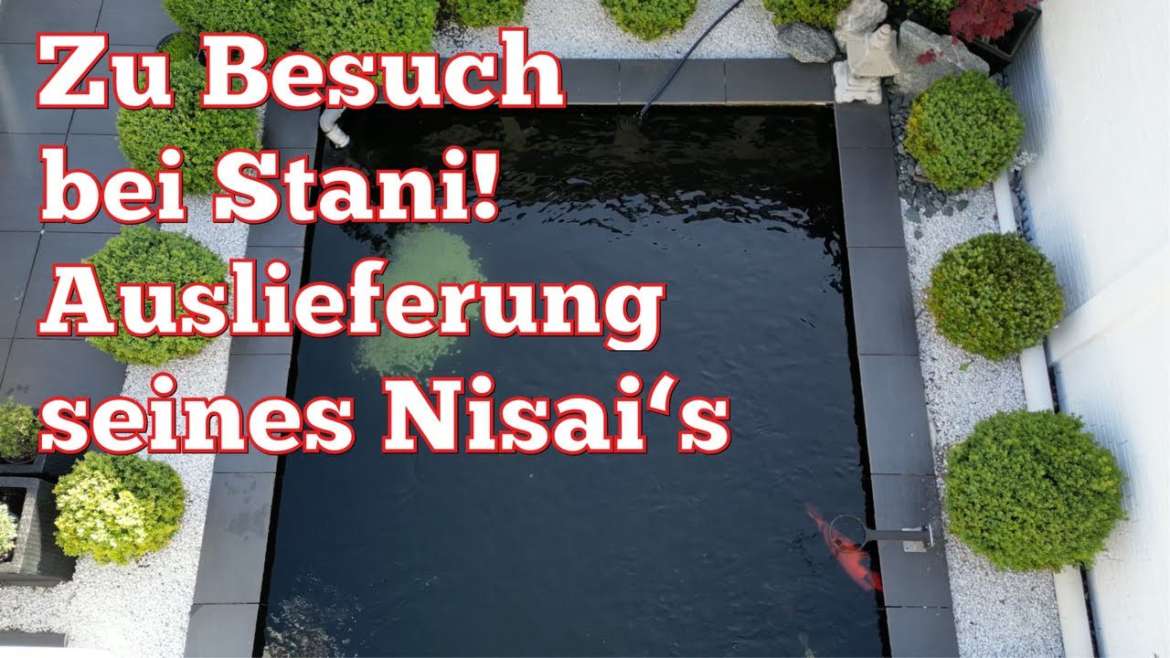 Stani‘s 20000 Liter Koi Teich mit 2 Filterkreisläufen sowie das ...