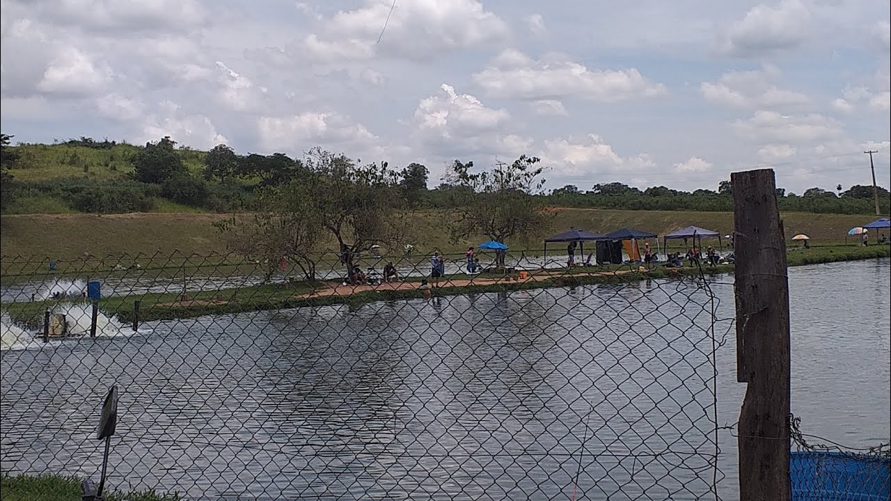 Pesqueiro do Italiano! Estiva Gerbi-SP - YouTube