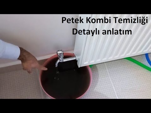 Bir Noktadan Evin Bütün Petekleri Nasıl Temizlenir