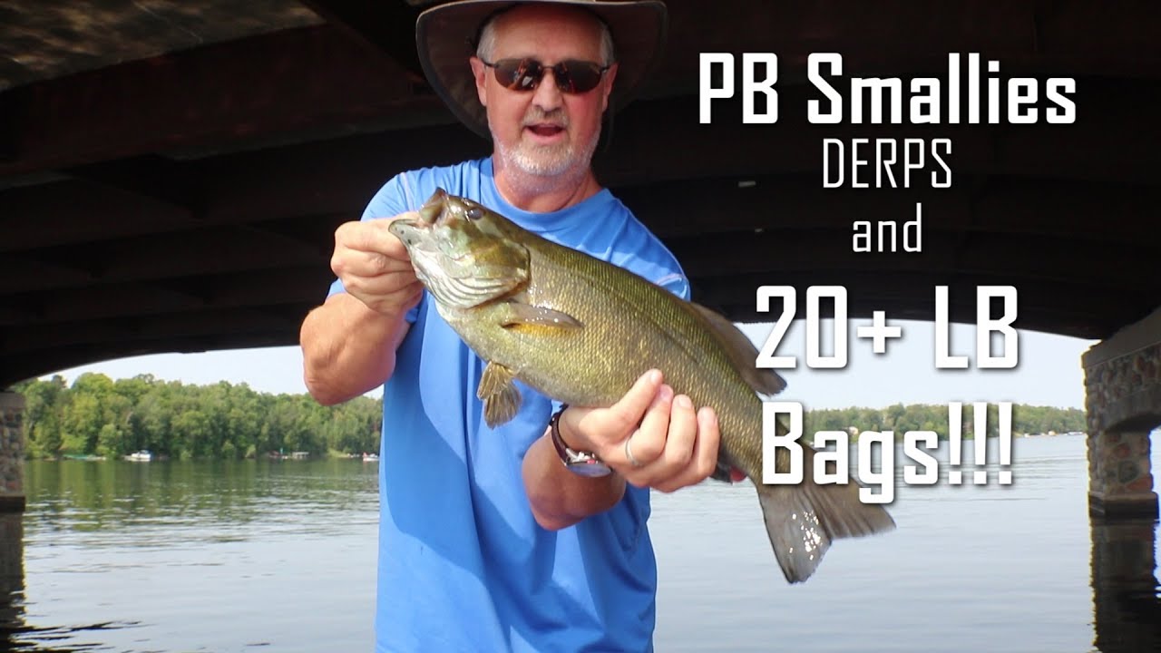 MINNESOTA Smallmouth Bass Fishing - YouTube
