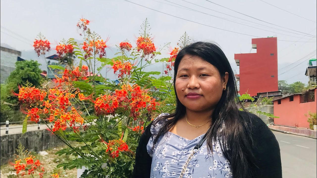 Namaste sathi haru aaja chahi hame Didi Bahini halka ramailo🤔🤔 - YouTube