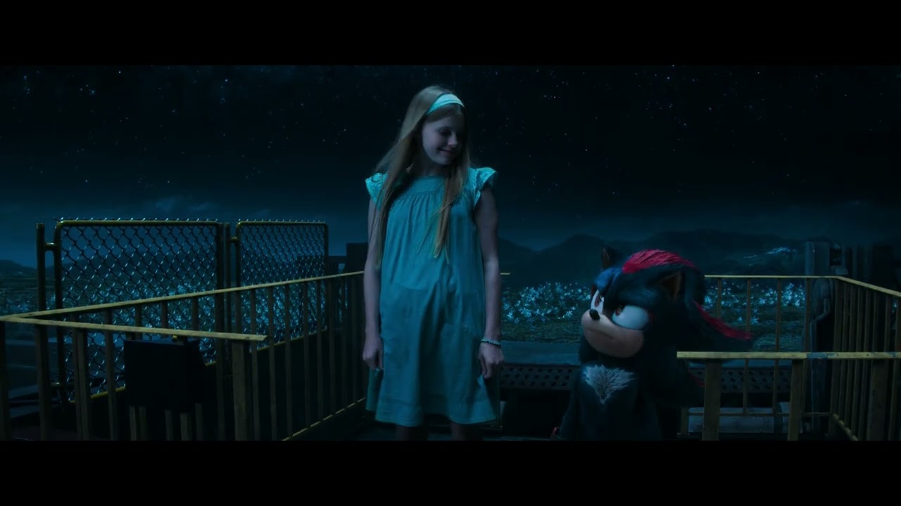 Shadow The Hedgehog And Maria