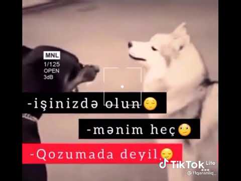 işinizdə olun mənim heç Qozumada deyil