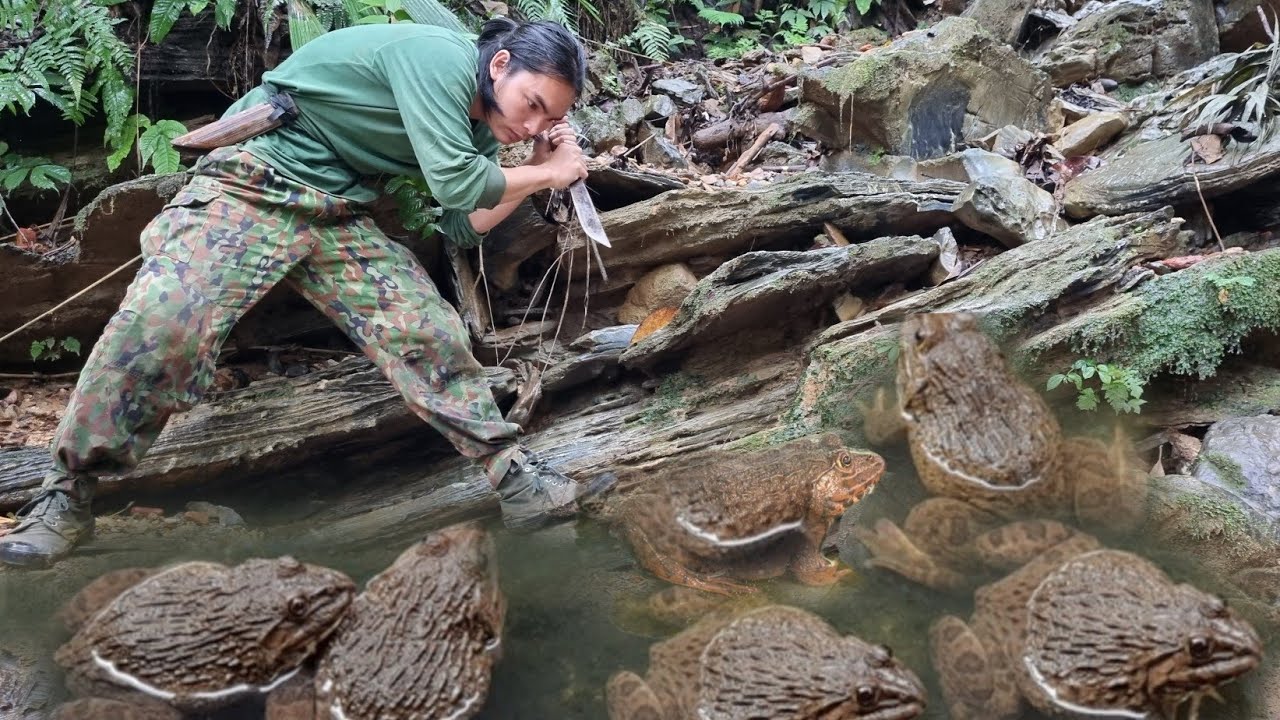 skills, catching stream frogs, survival alone, survival instincts - YouTube