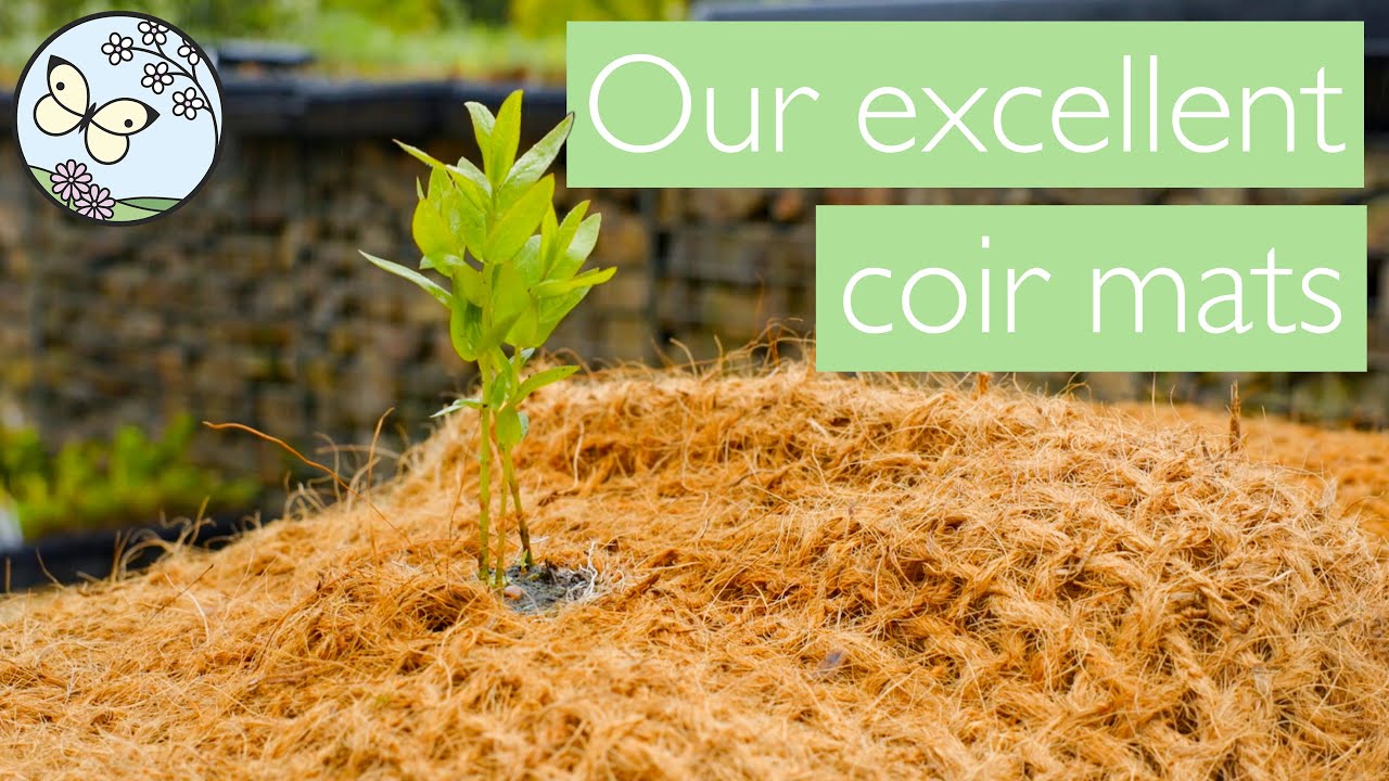 Our unplanted coir mats and plug plants introduced. A great way to ...