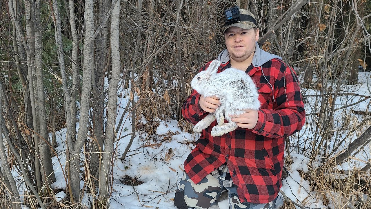 Snaring Rabbits - Complete How To Guide - YouTube
